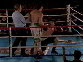 Hurricane Watch: The Peter McNeeley Website